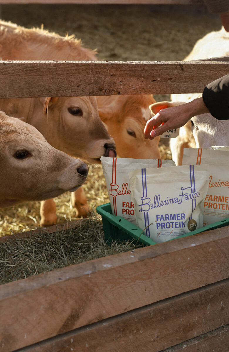 Ballerina Farm | Real Food, Thoughtfully Made Goods